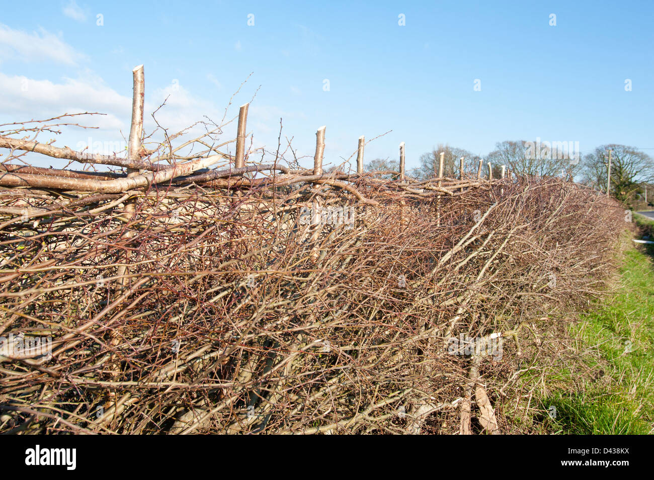 Country craft hedge laying hi-res stock photography and images - Alamy