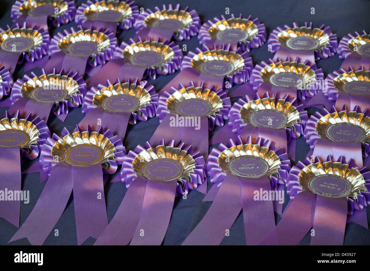 Show dog rosette hi-res stock photography and images - Alamy