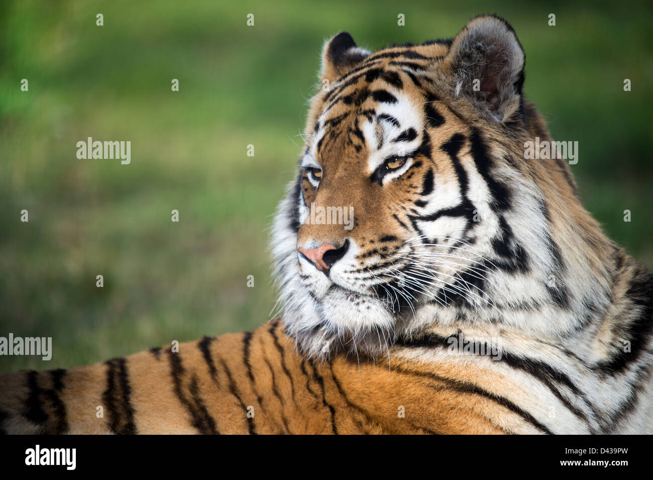 Look over your shoulder hi-res stock photography and images - Alamy