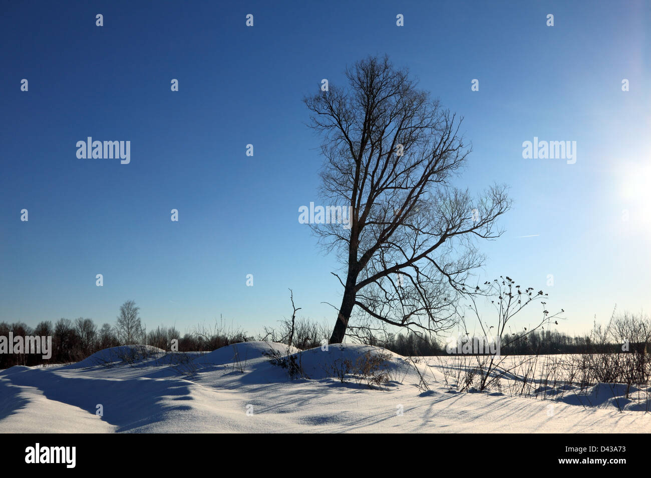Lonely landscape lonely winter landscape hi-res stock photography and ...