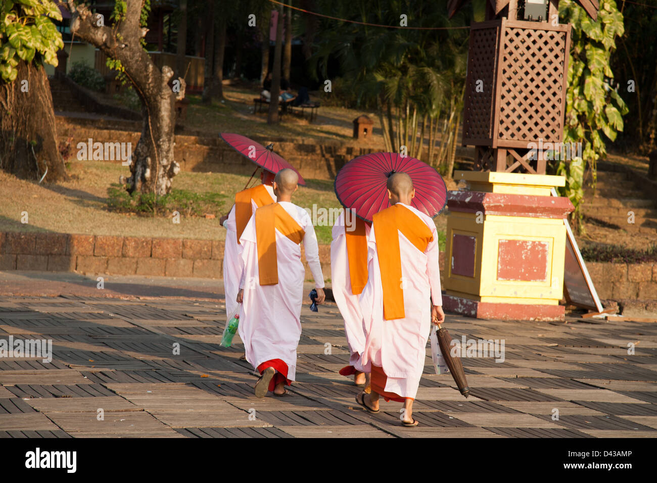 Female Monks Kandawgyi Lake Yangon Stock Photo - Alamy