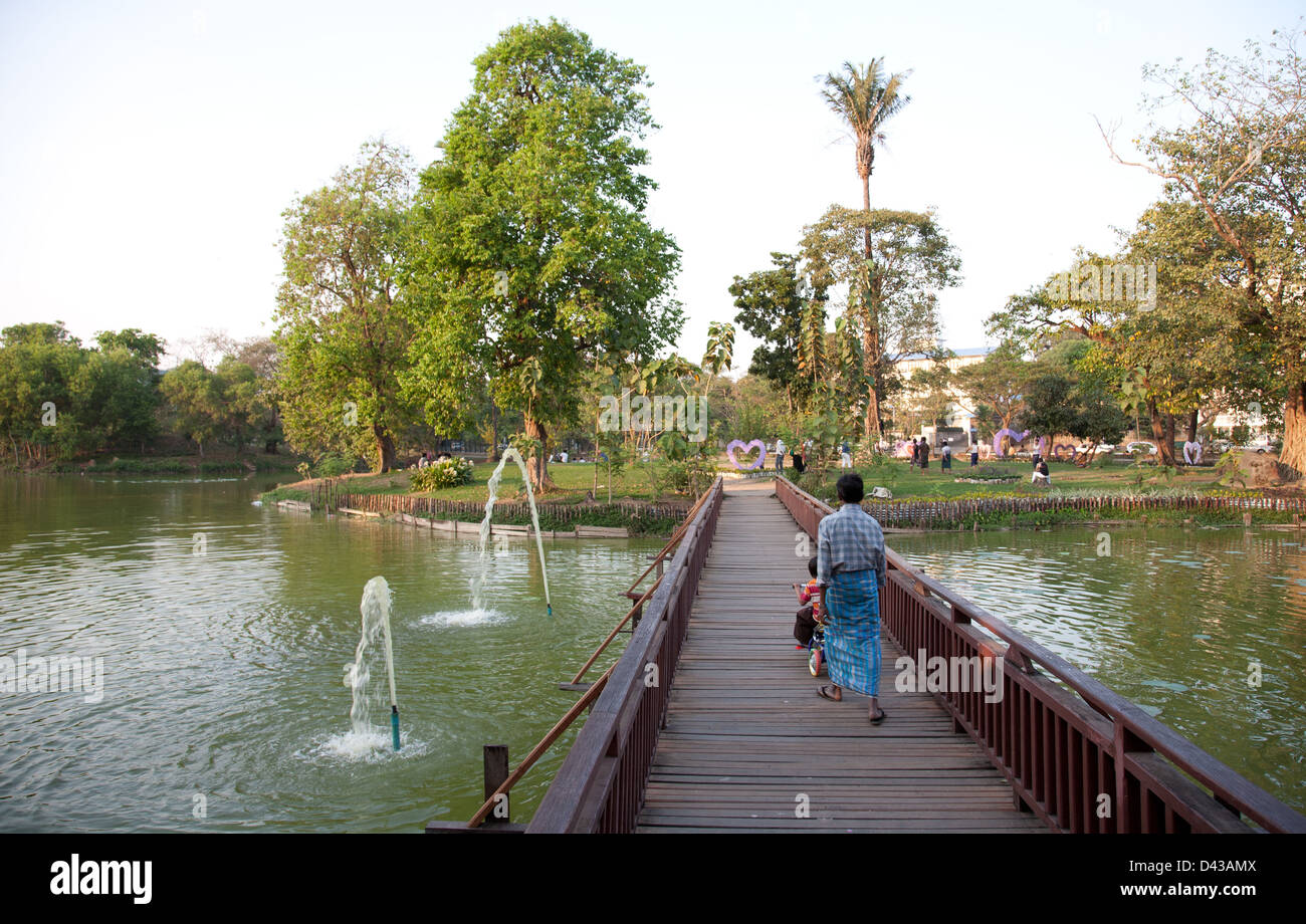 Tree trees bridge hi-res stock photography and images - Alamy