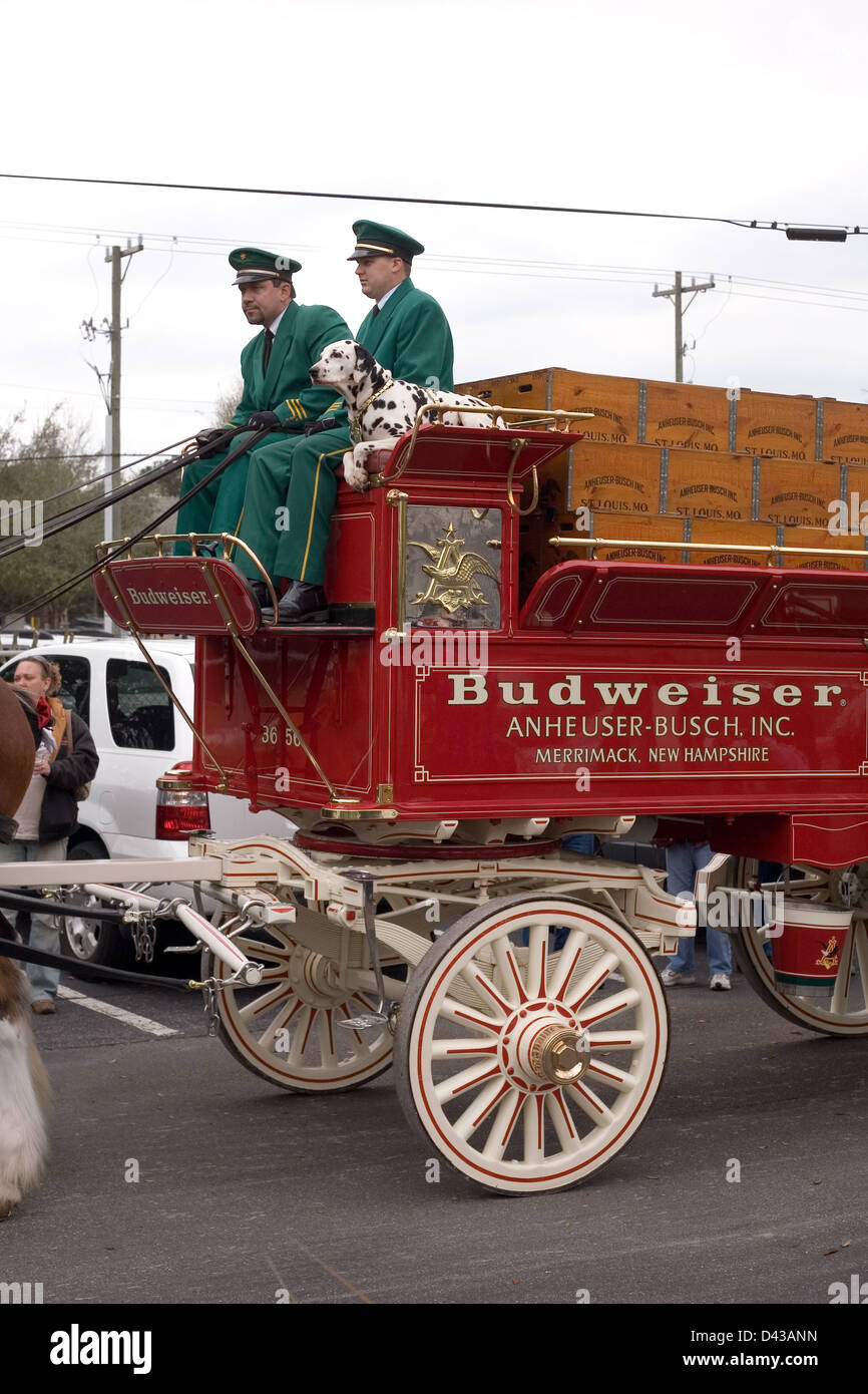 Budweiser Beer Wagon with Dalmation Stock Photo - Alamy