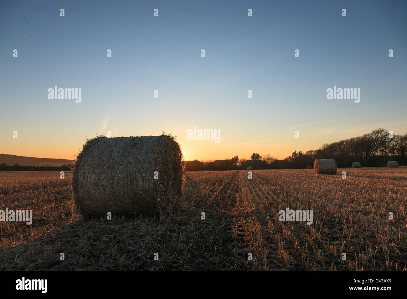 Hay bales at sunset Stock Photo - Alamy