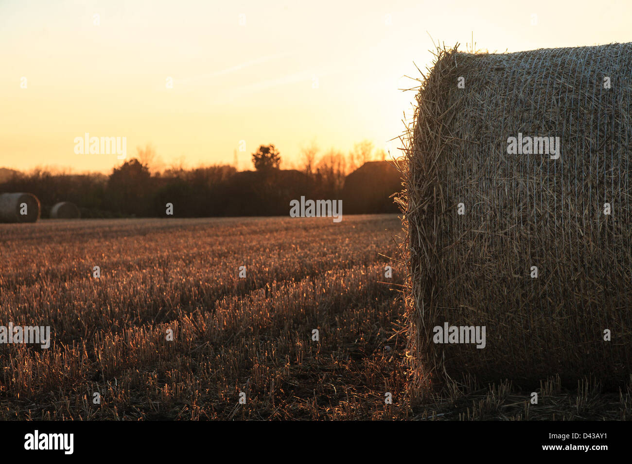 Bales at sunset hi-res stock photography and images - Alamy