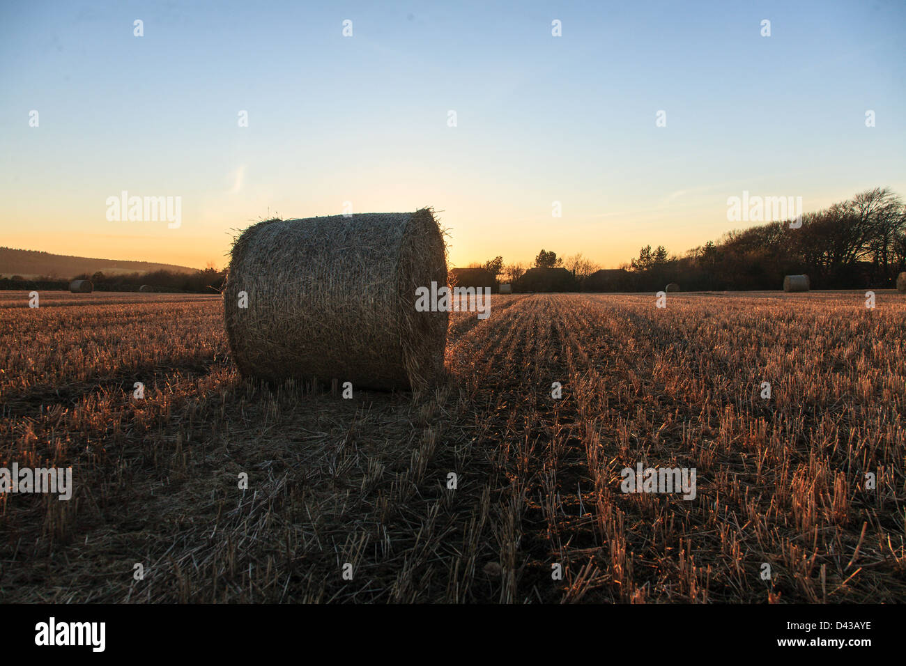 Bales at sunset hi-res stock photography and images - Alamy