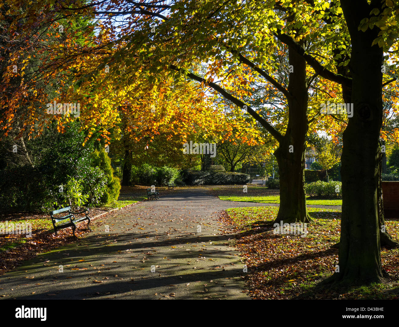 Chadderton Hall Park in autumn Stock Photo - Alamy