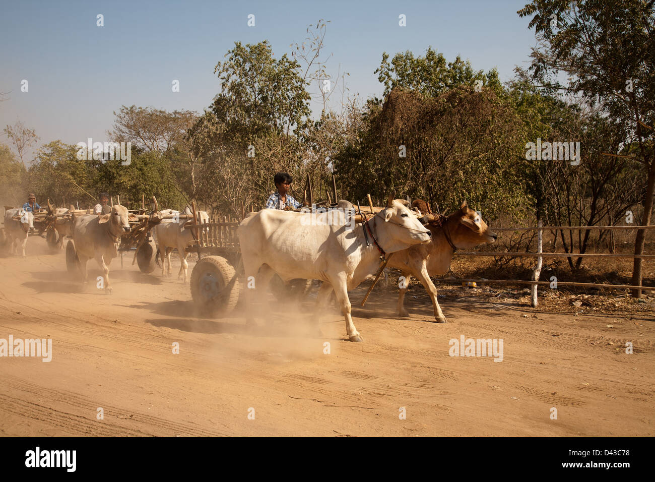 Temple carts hi-res stock photography and images - Alamy