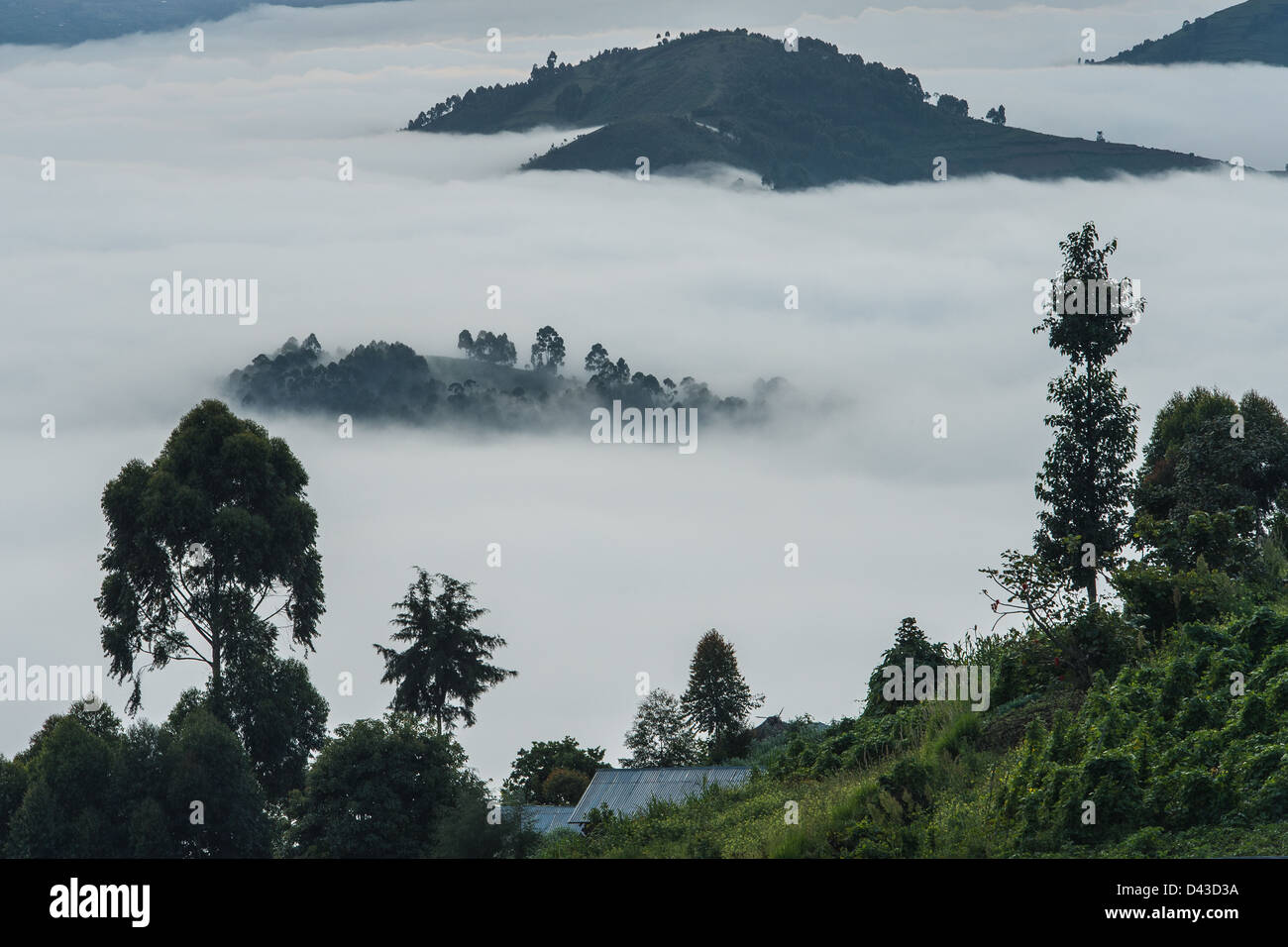 Early morning mist rising above lake in Uganda Stock Photo - Alamy