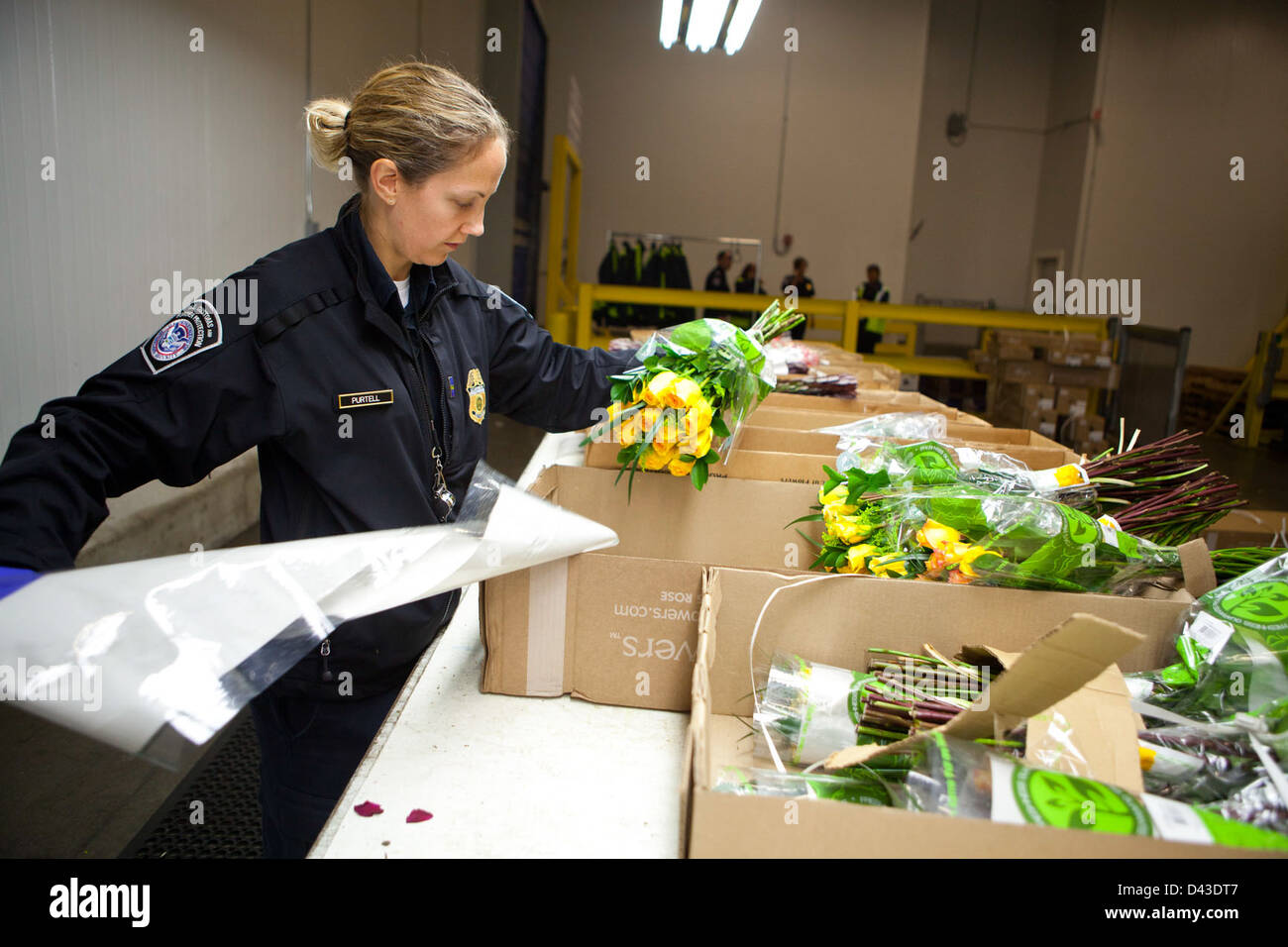 U S Customs Border Protection Agriculture Stock Photos & U S Customs ...