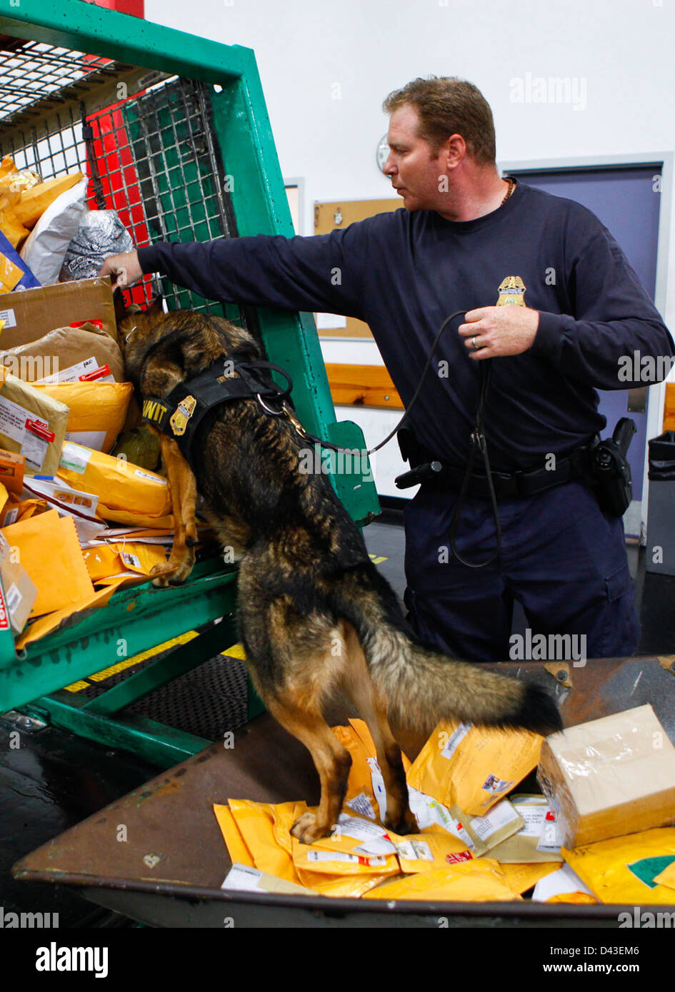 The U.S. Customs and Border Protection (CBP) K9 Mail Search program is ...