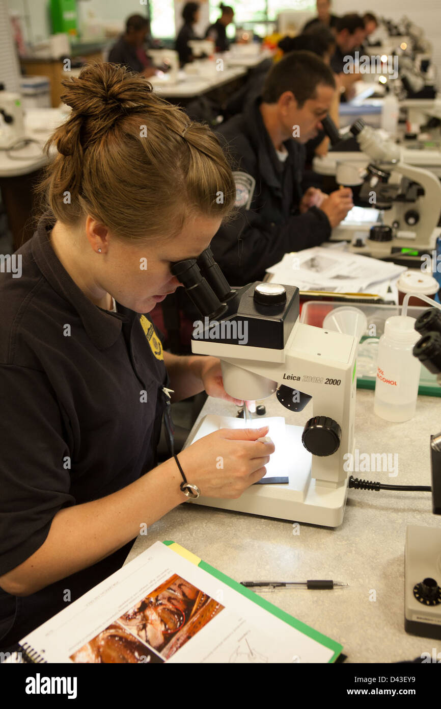 This image represents the U.S. Customs and Border Protection (CBP ...