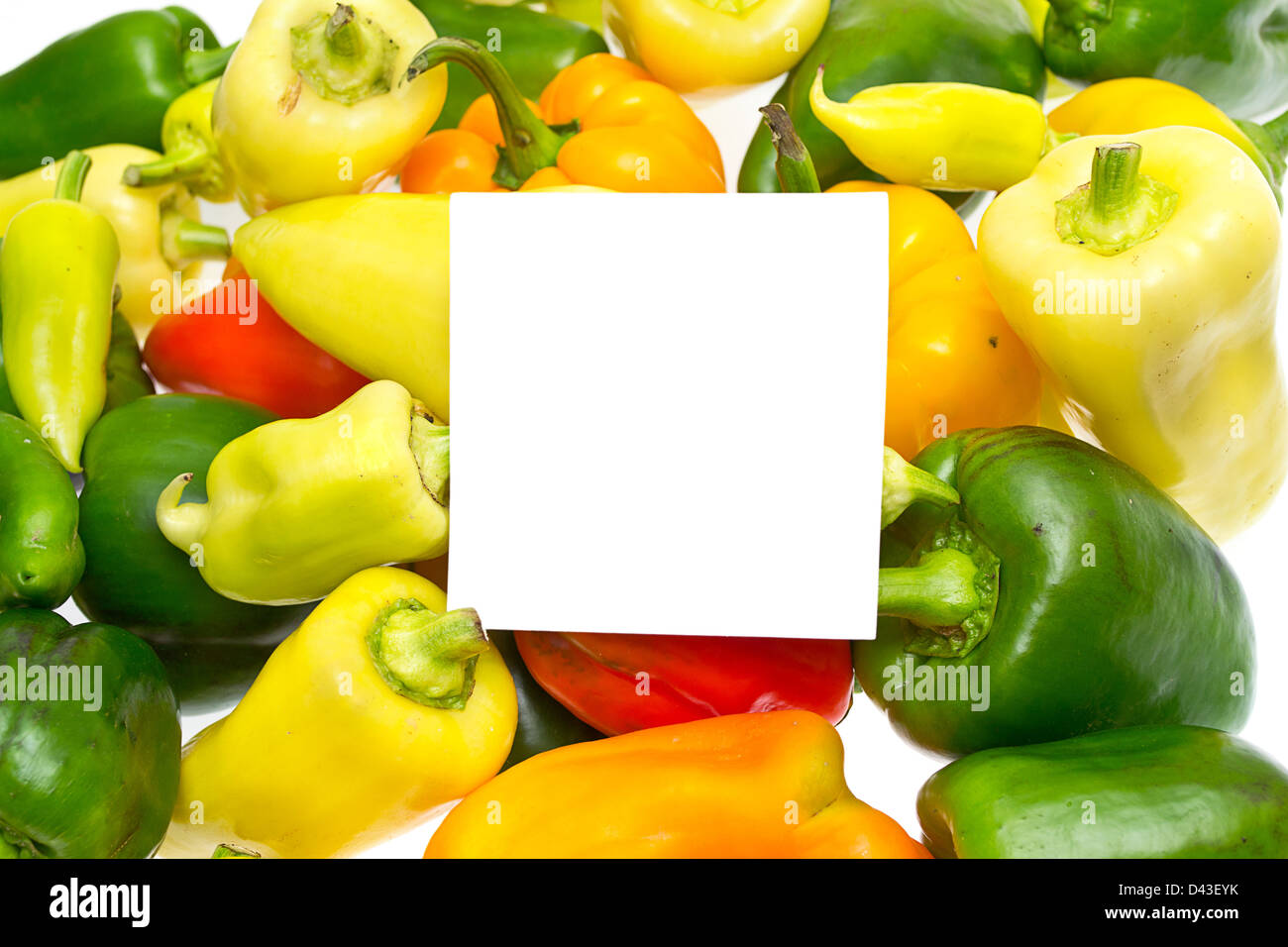Raw and Fresh Vegetable Bell Pepper on white background with blank for ...