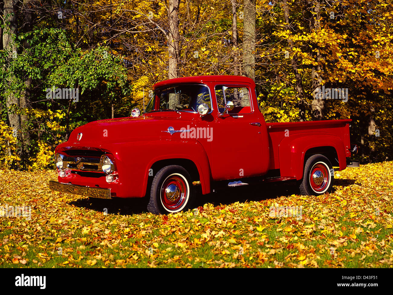 1956 ford f 100 hi-res stock photography and images - Alamy