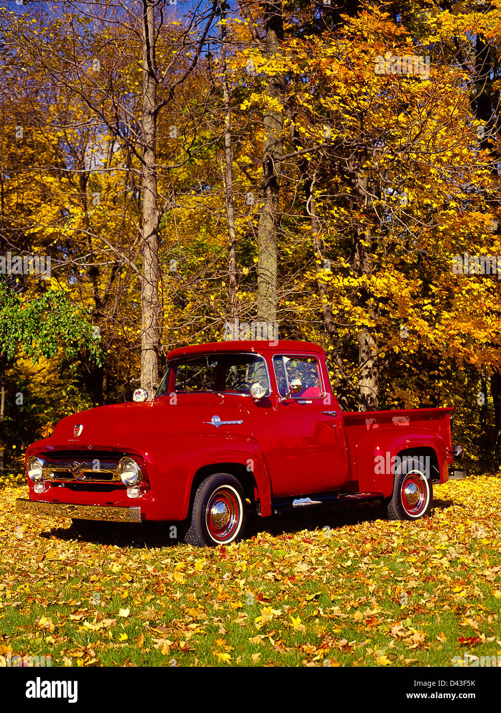 1956 ford f 100 hi-res stock photography and images - Alamy