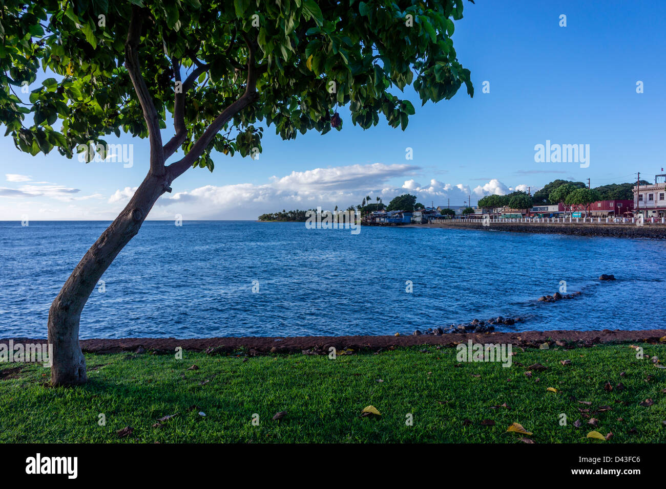 Lahaina seafront in Maui, Hawaii, USA Stock Photo - Alamy