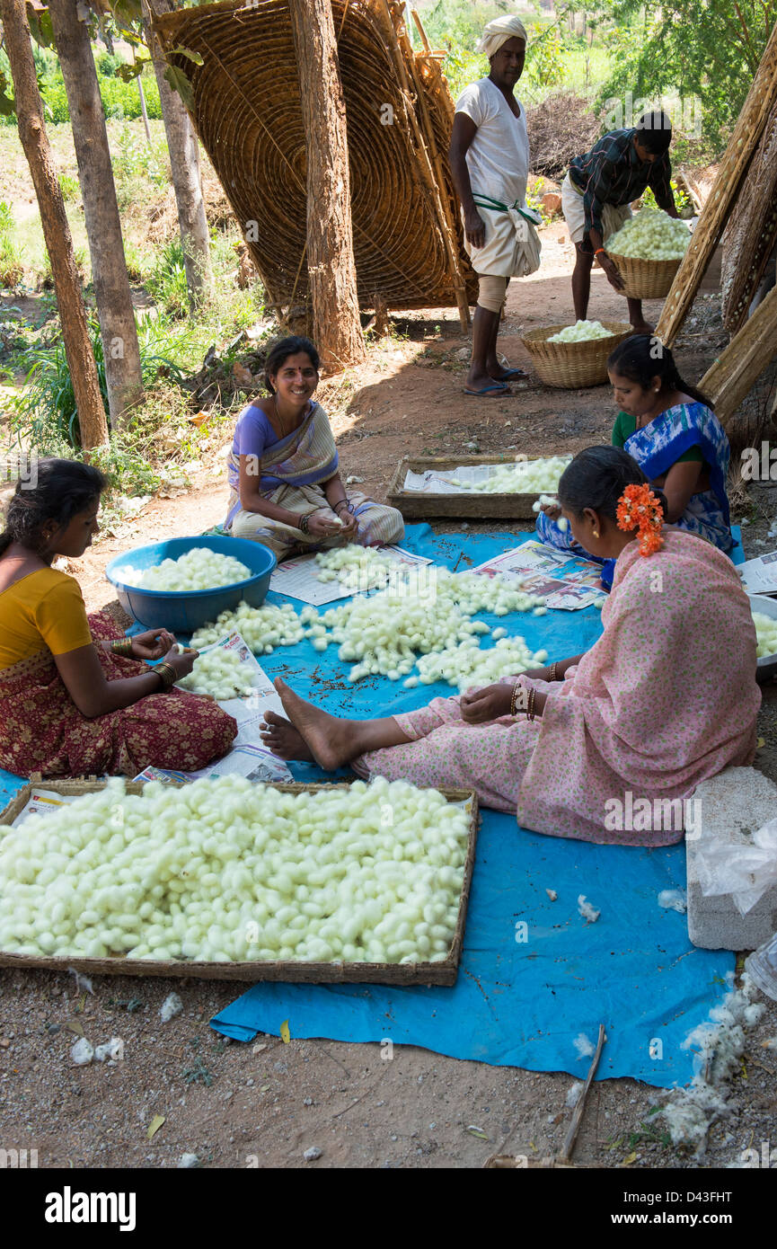 Women sorting hi-res stock photography and images - Alamy