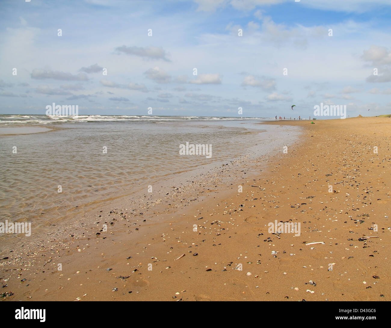 Beach horizon with shells Stock Photo - Alamy