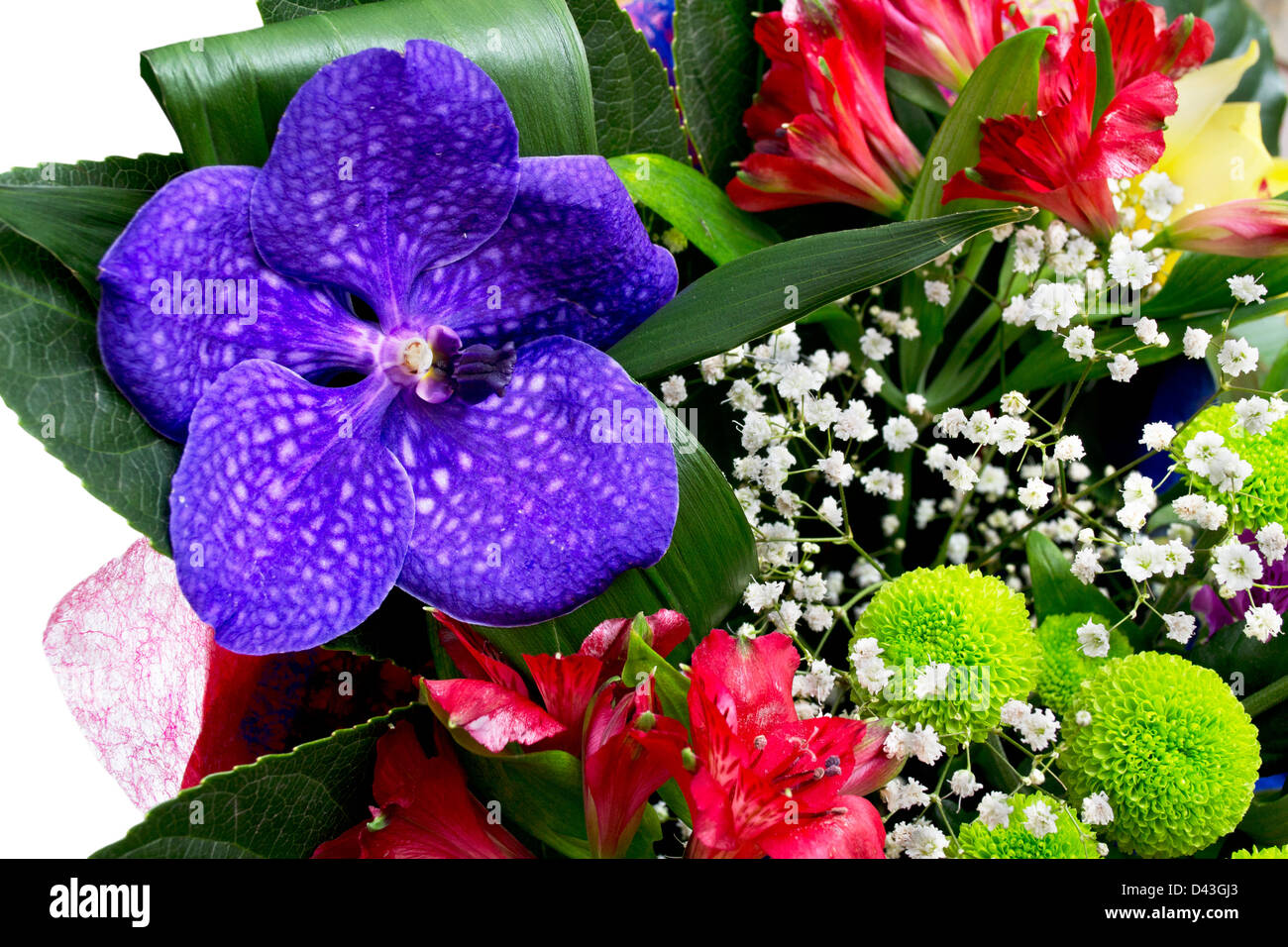 colorful flowers bouquet Stock Photo - Alamy