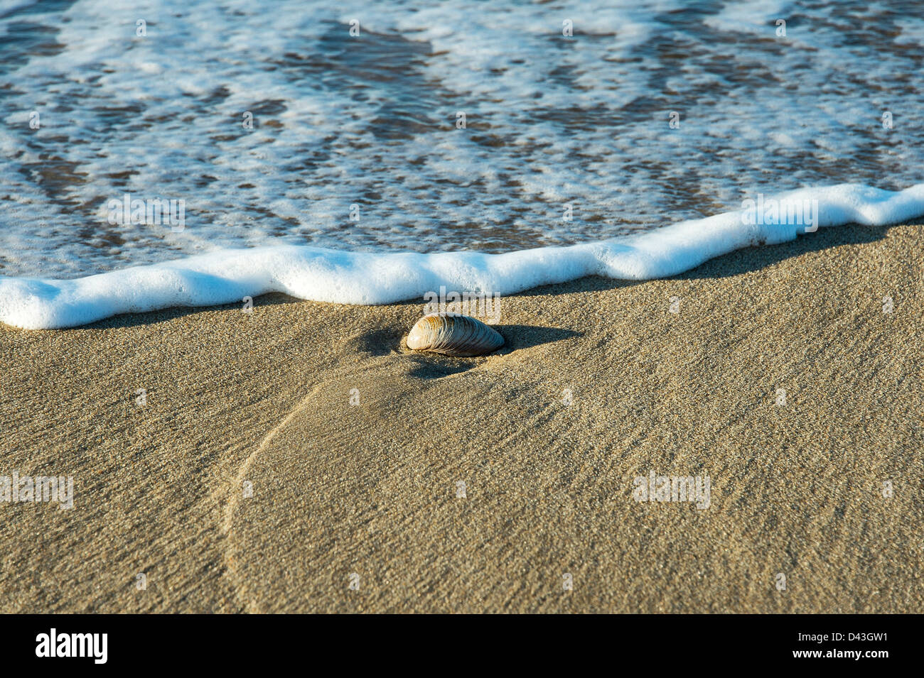 Beach beaches ocean hi-res stock photography and images - Alamy