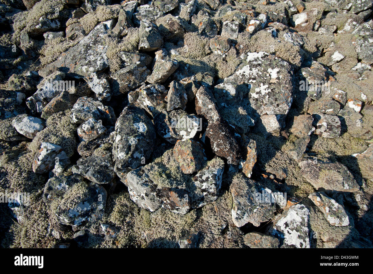 Boulder scree landslide on a Scottish mountain side. SCO 8976 Stock ...