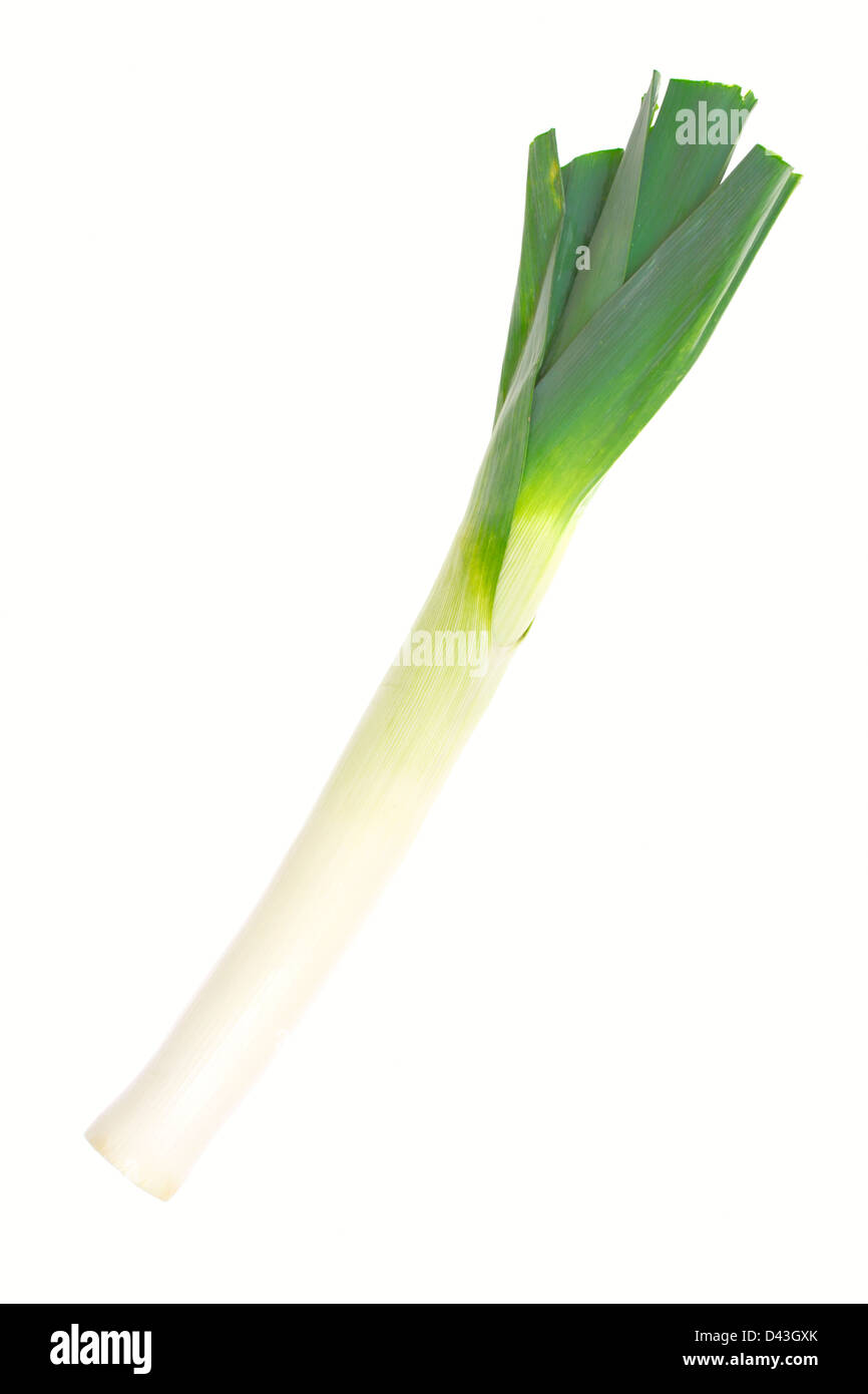 Fresh leek on white background Stock Photo - Alamy