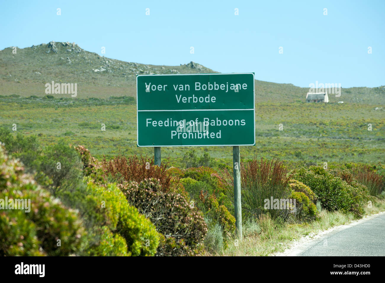 Feeding of Baboons Prohibited sign on roadside Western Cape South ...