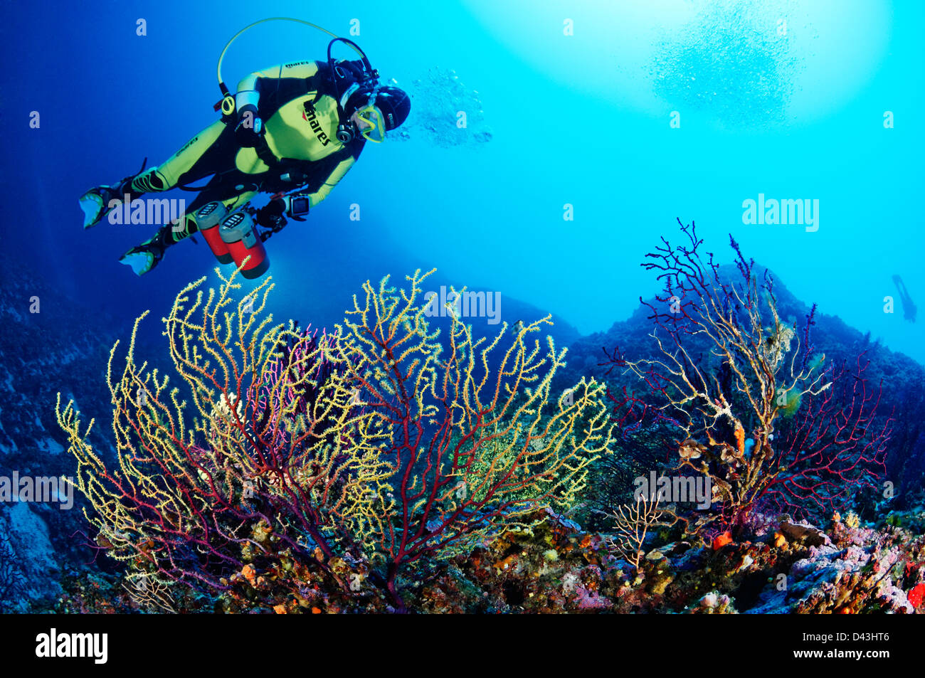 Hrvatski jadran adriatic sea mare mediterraneum underwater landscape ...