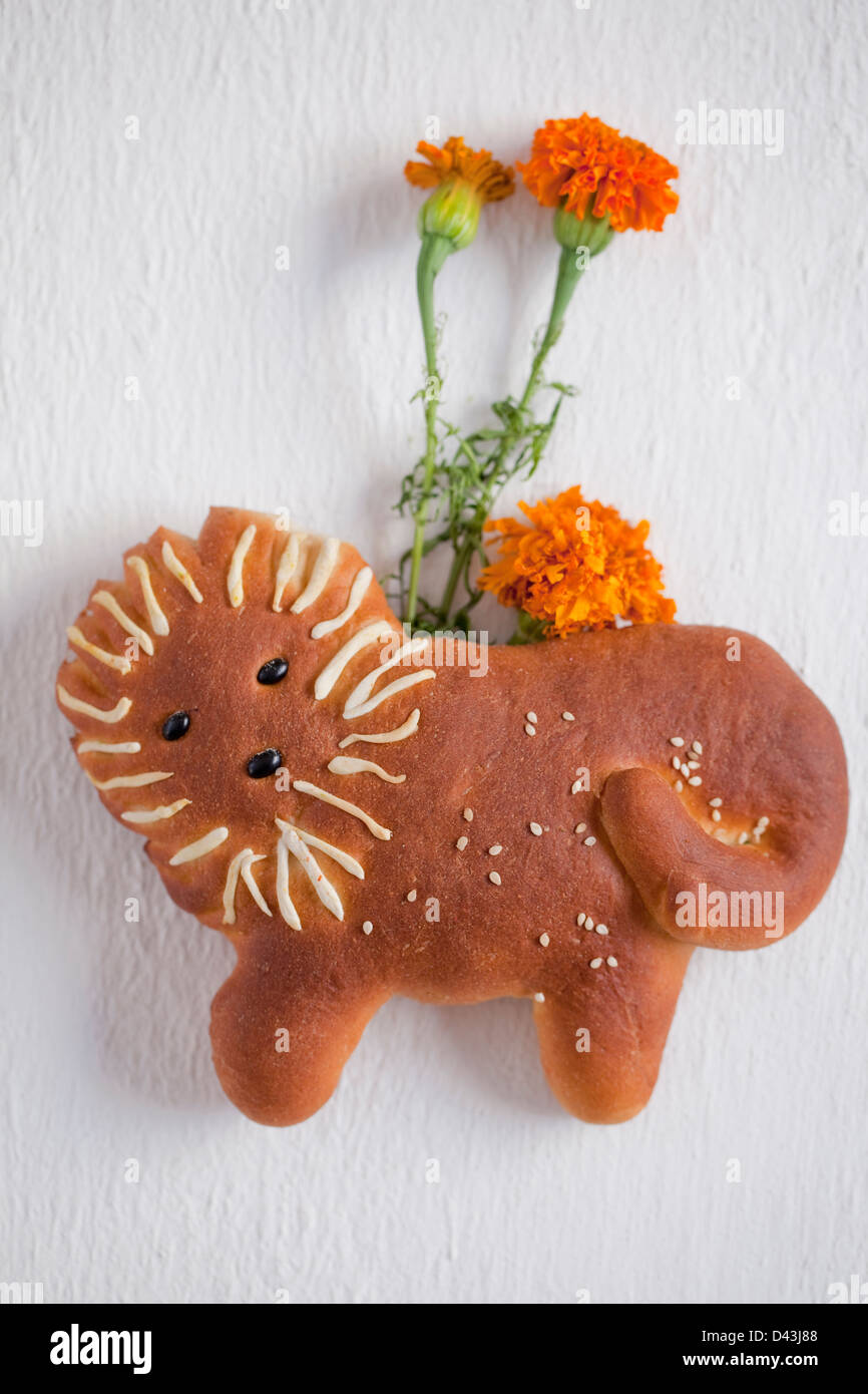 Lion seed hi-res stock photography and images - Alamy