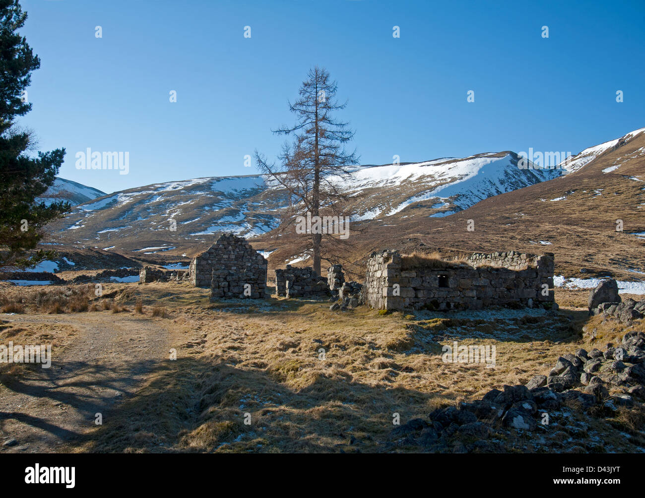 Abandoned croft buildings on Coignafearn Estate Inverness-shire. SCO ...