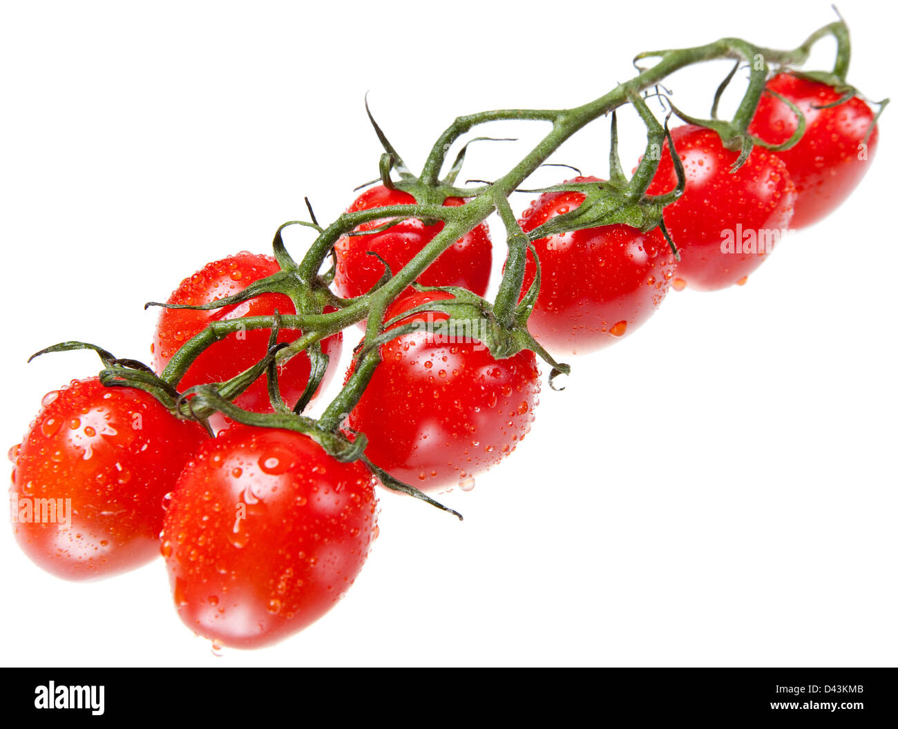 tomato branch in water splashes Stock Photo - Alamy