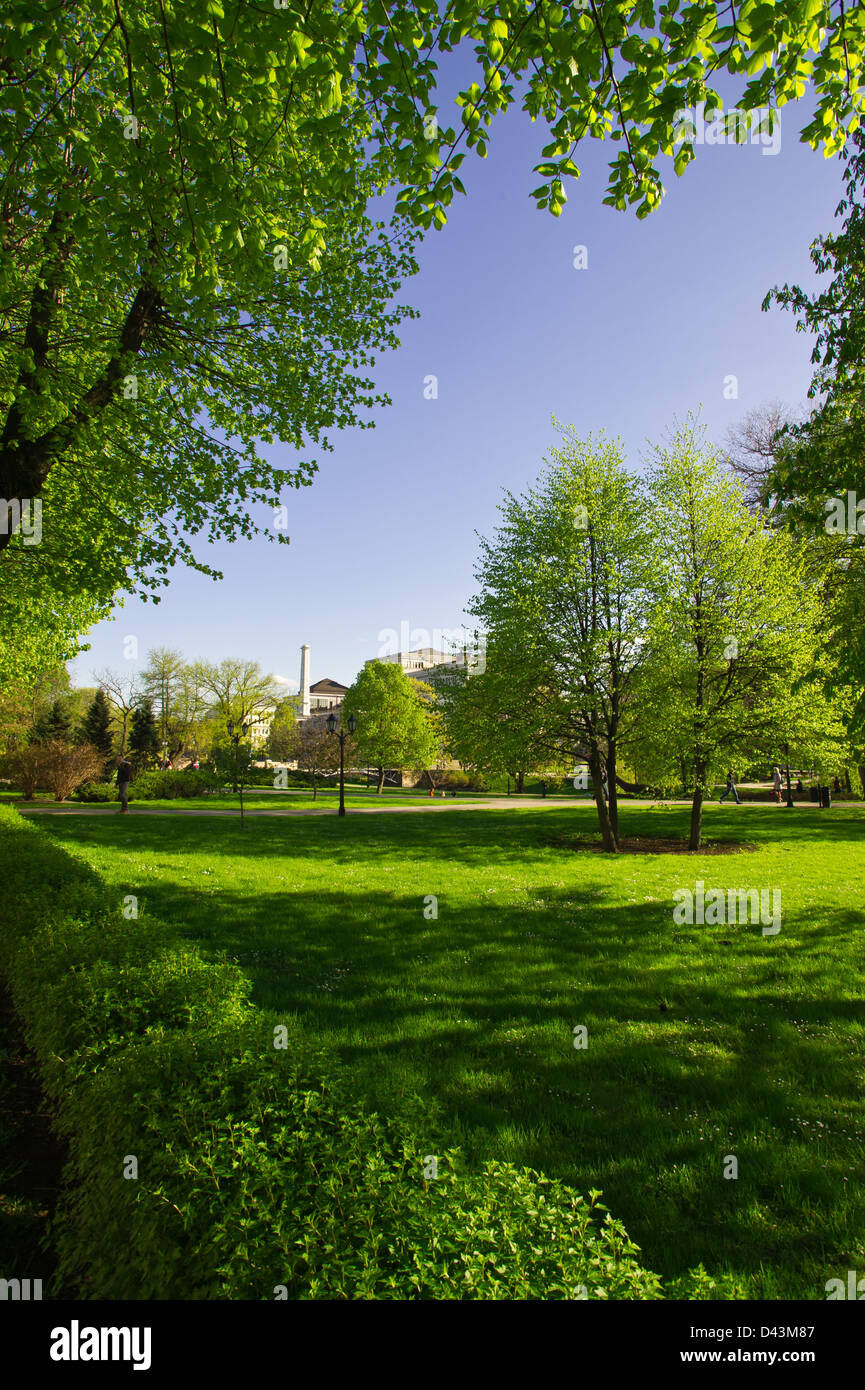 Large plant in an park hi-res stock photography and images - Alamy