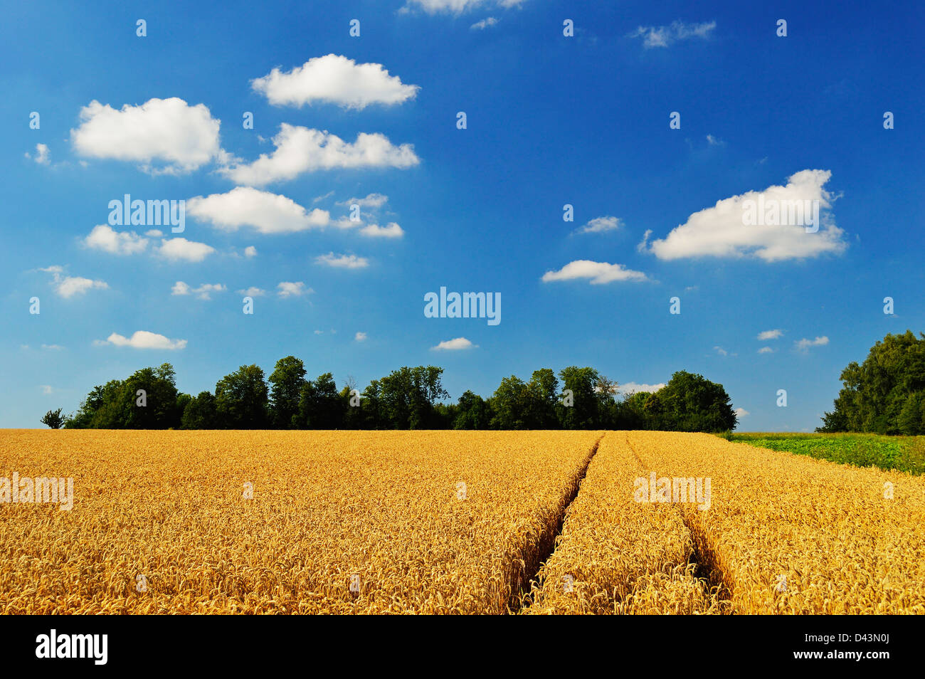 Western baar hi-res stock photography and images - Alamy