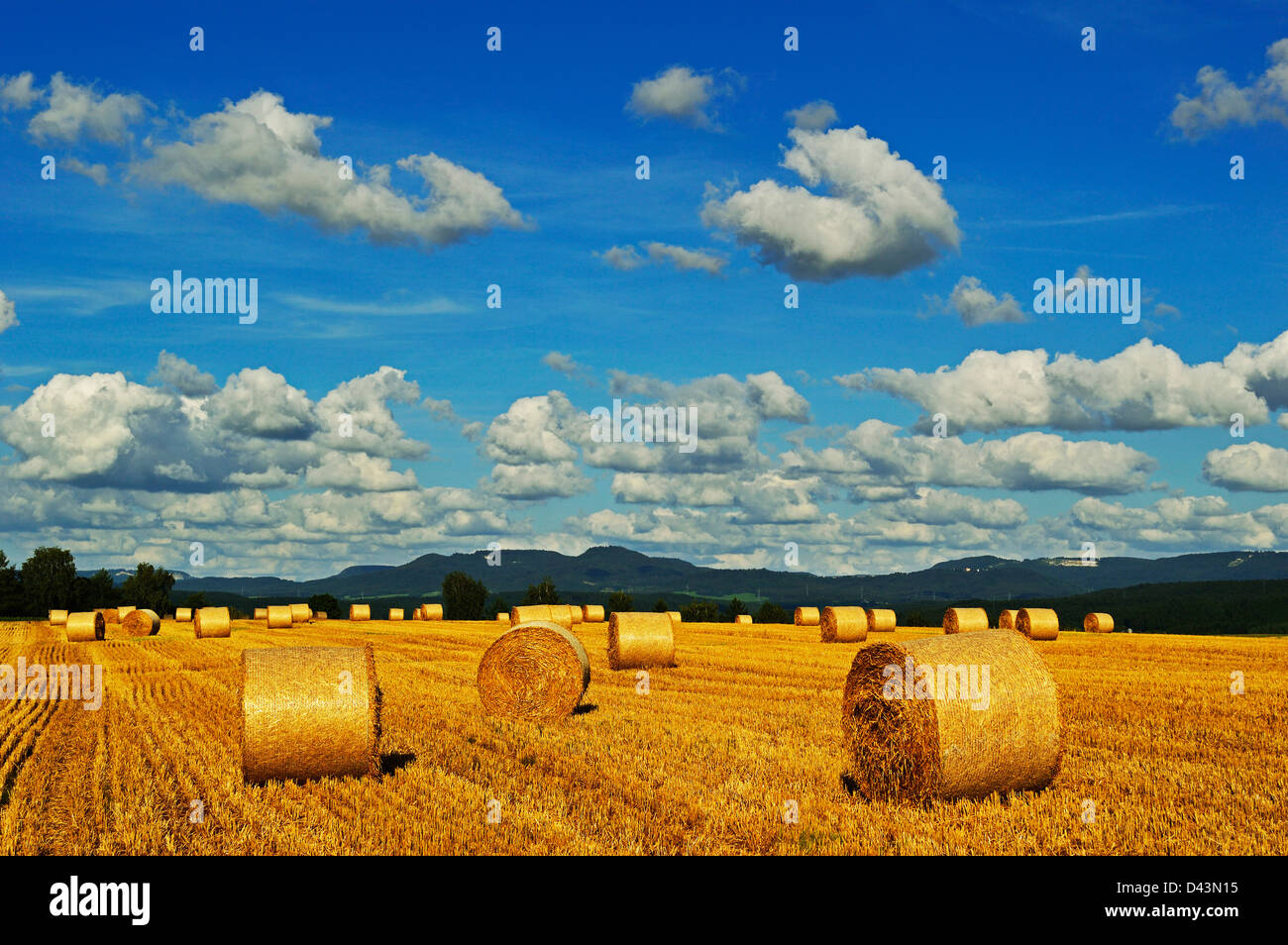 Western baar hi-res stock photography and images - Alamy