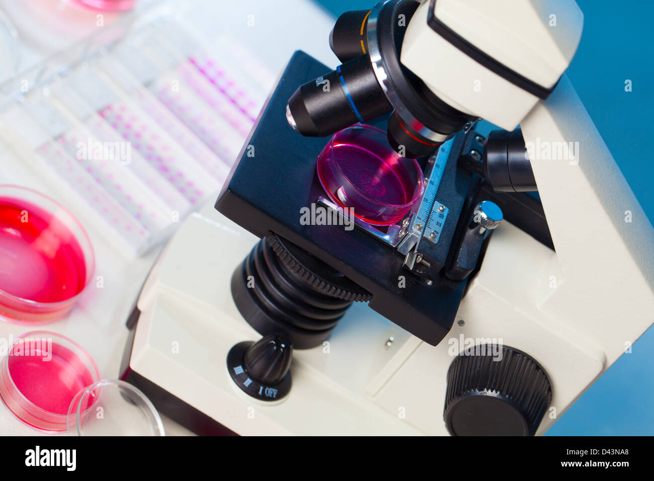 microscope and petri dishes in a lab Stock Photo - Alamy