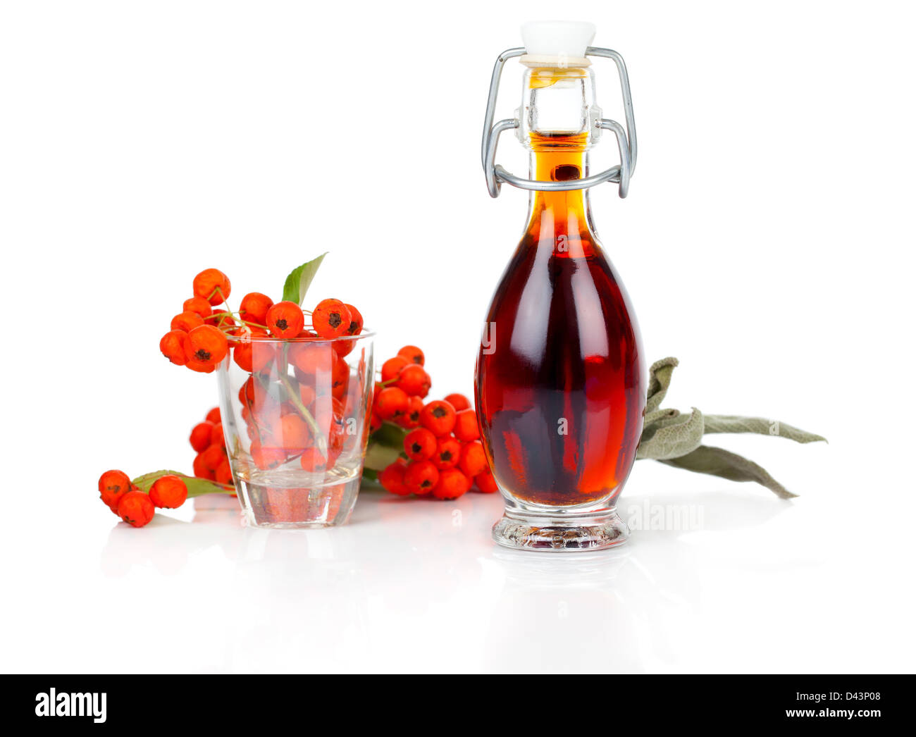 Ashberry Stock Photos & Ashberry Stock Images - Alamy