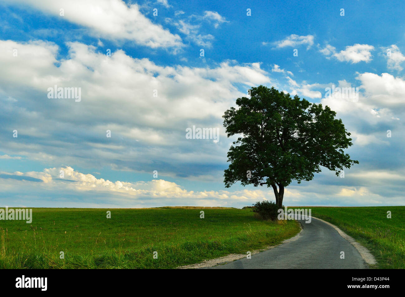 Western baar hi-res stock photography and images - Alamy