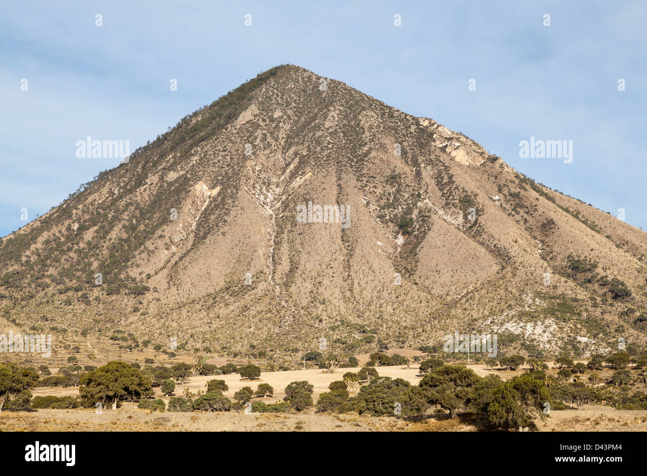 Jalapa hi-res stock photography and images - Alamy