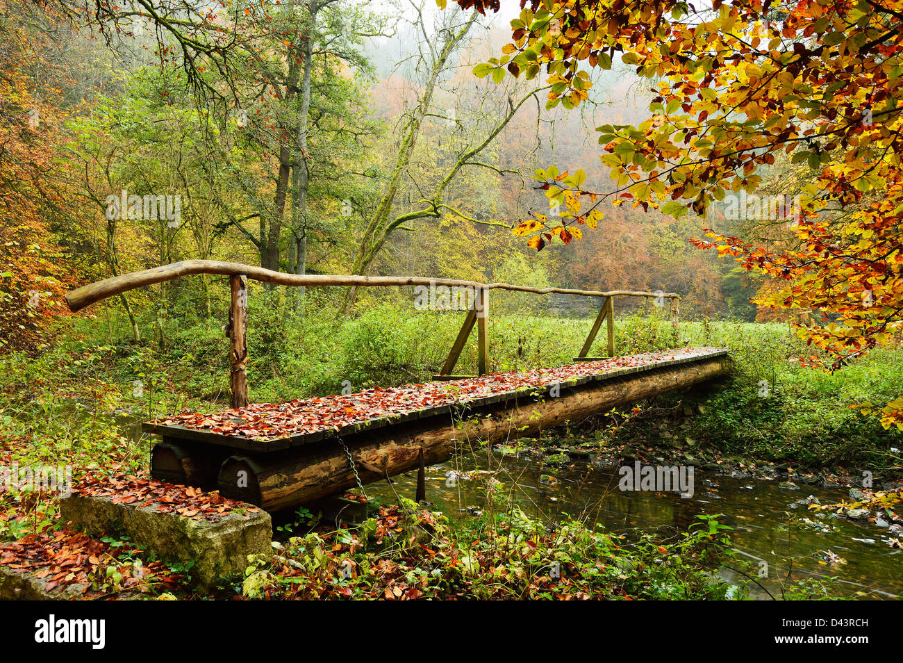 Neckar River and Neckar Valley, Schwarzwald-Baar, Baden-Wurttemberg ...