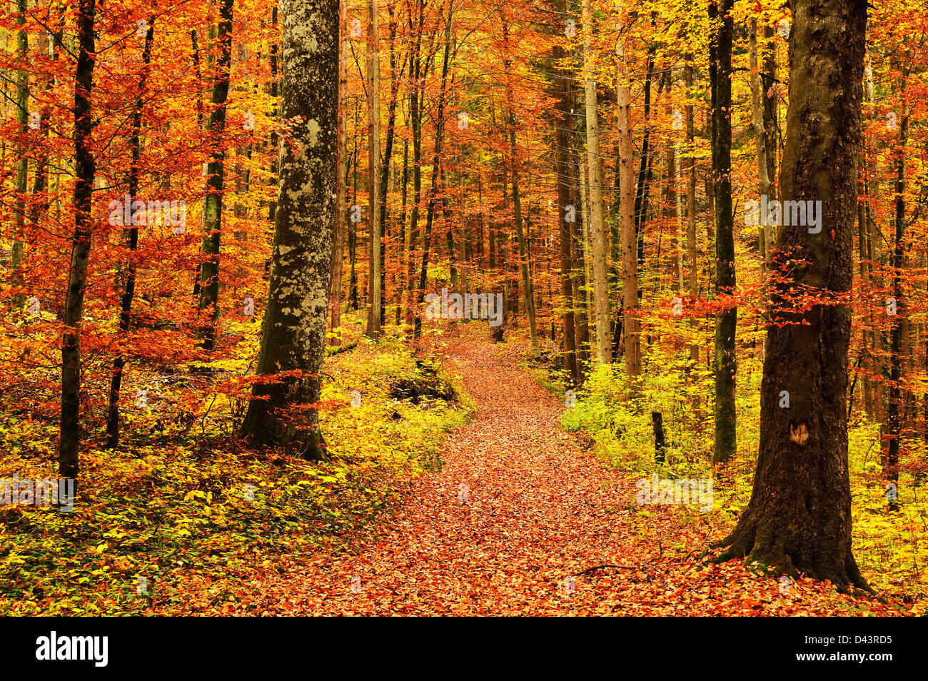 Western baar hi-res stock photography and images - Alamy