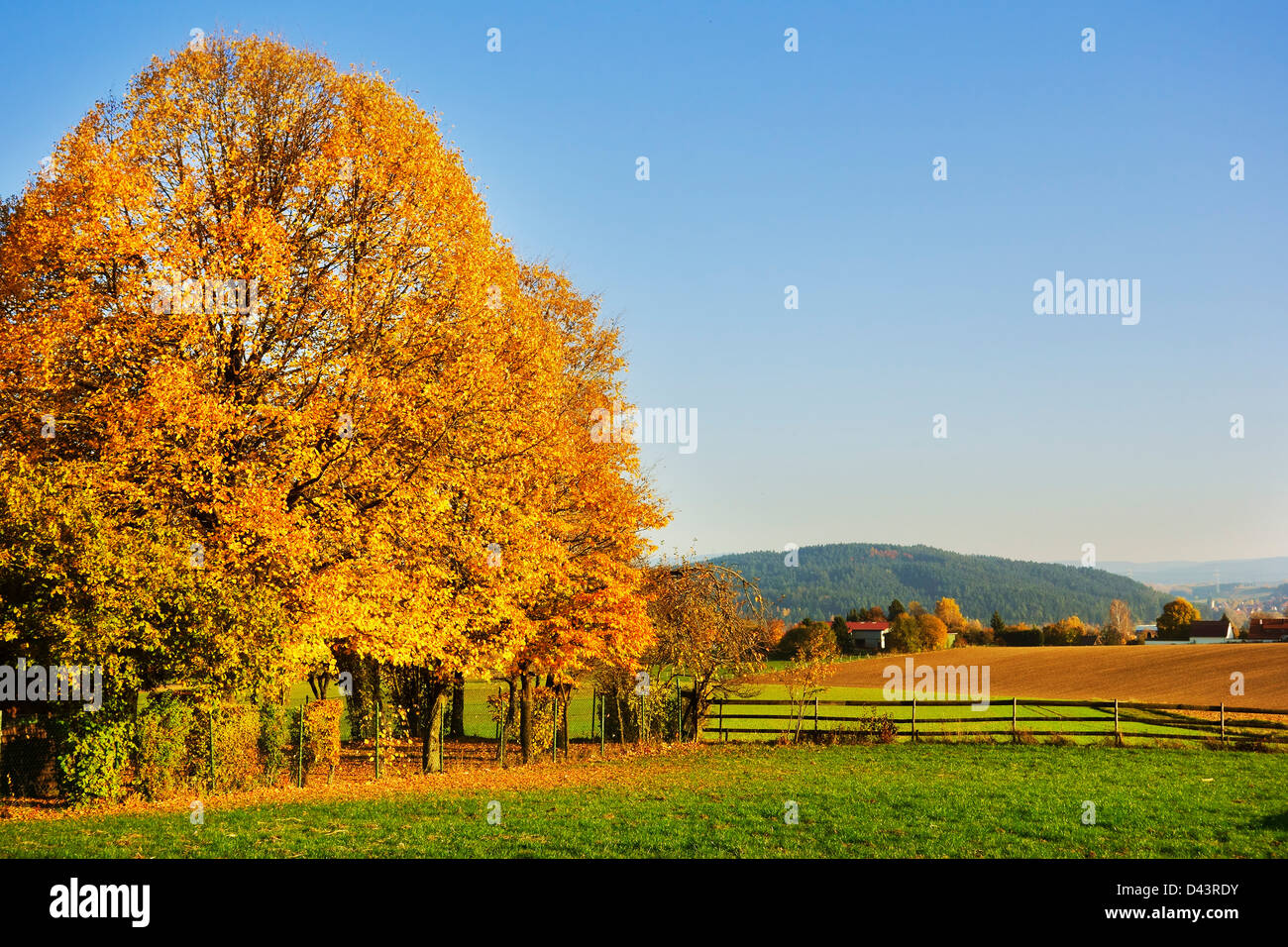 Western baar hi-res stock photography and images - Alamy