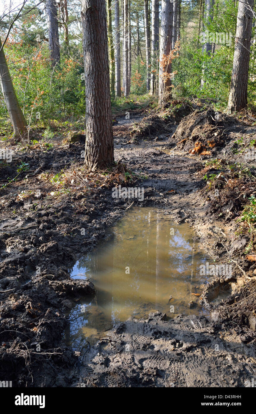 Waterlogged footpath at Broomhead Reservoir - Yorkshire, England, UK ...