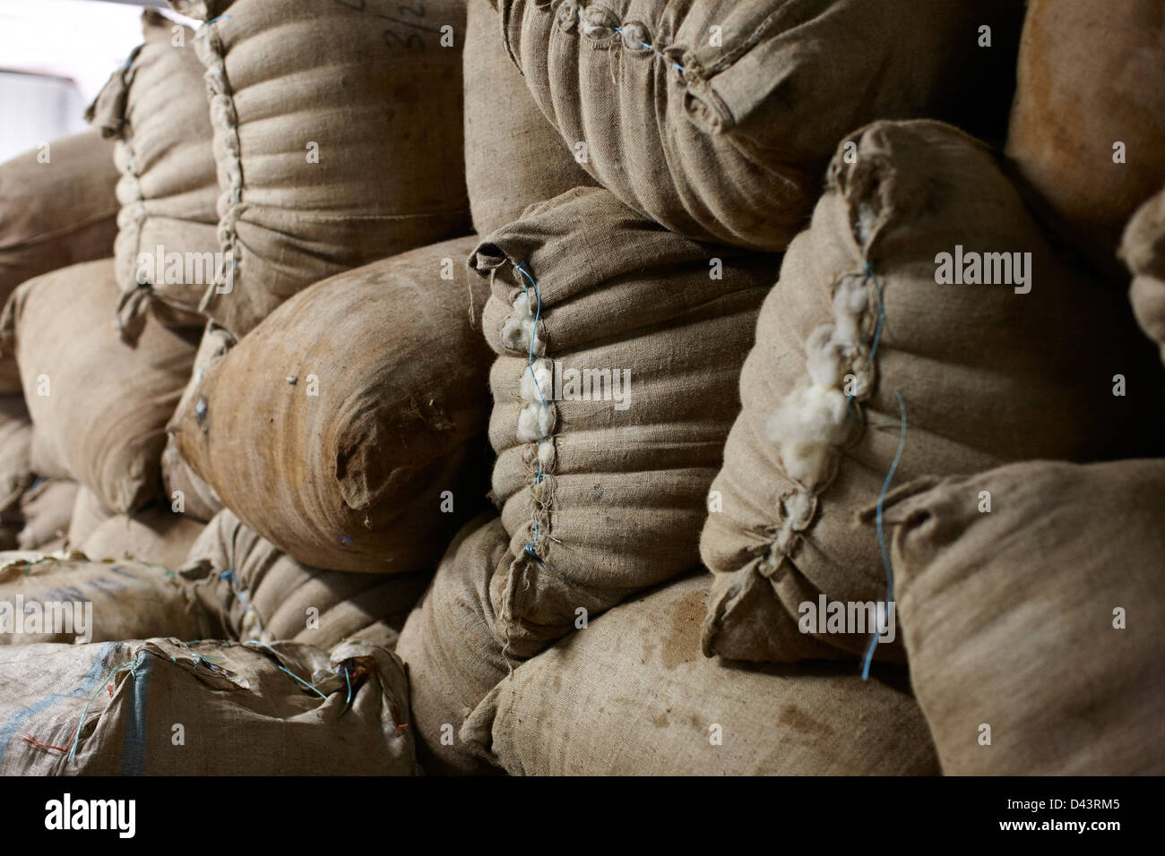 Pile of wool sheep hi-res stock photography and images - Alamy