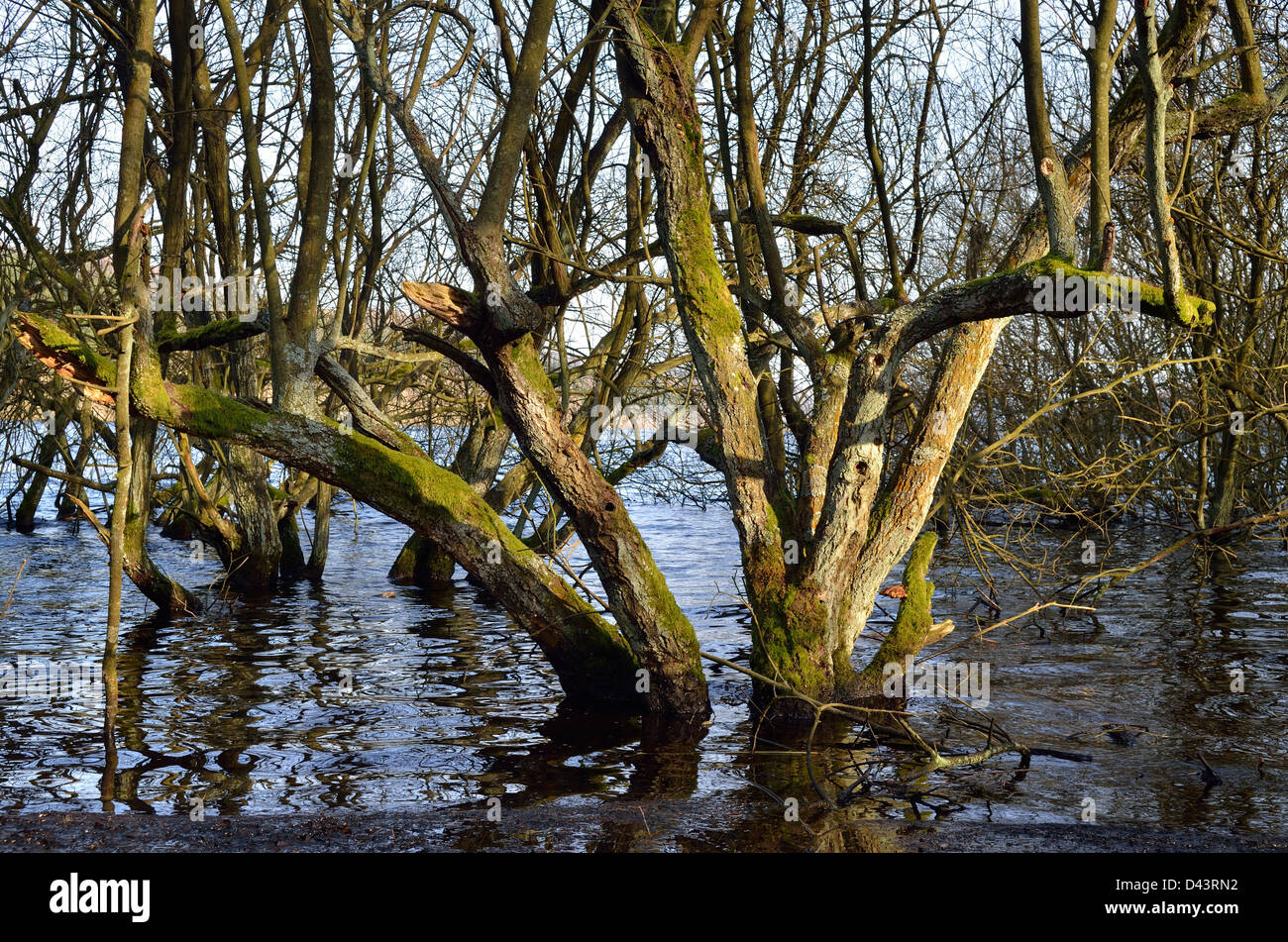 Broomhead Reservoir - Yorkshire, England Stock Photo - Alamy