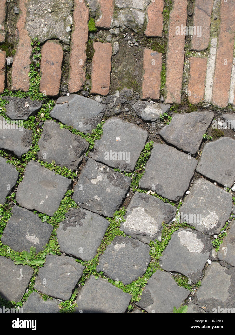 traditional pavement of Rome sanpietrini Stock Photo - Alamy