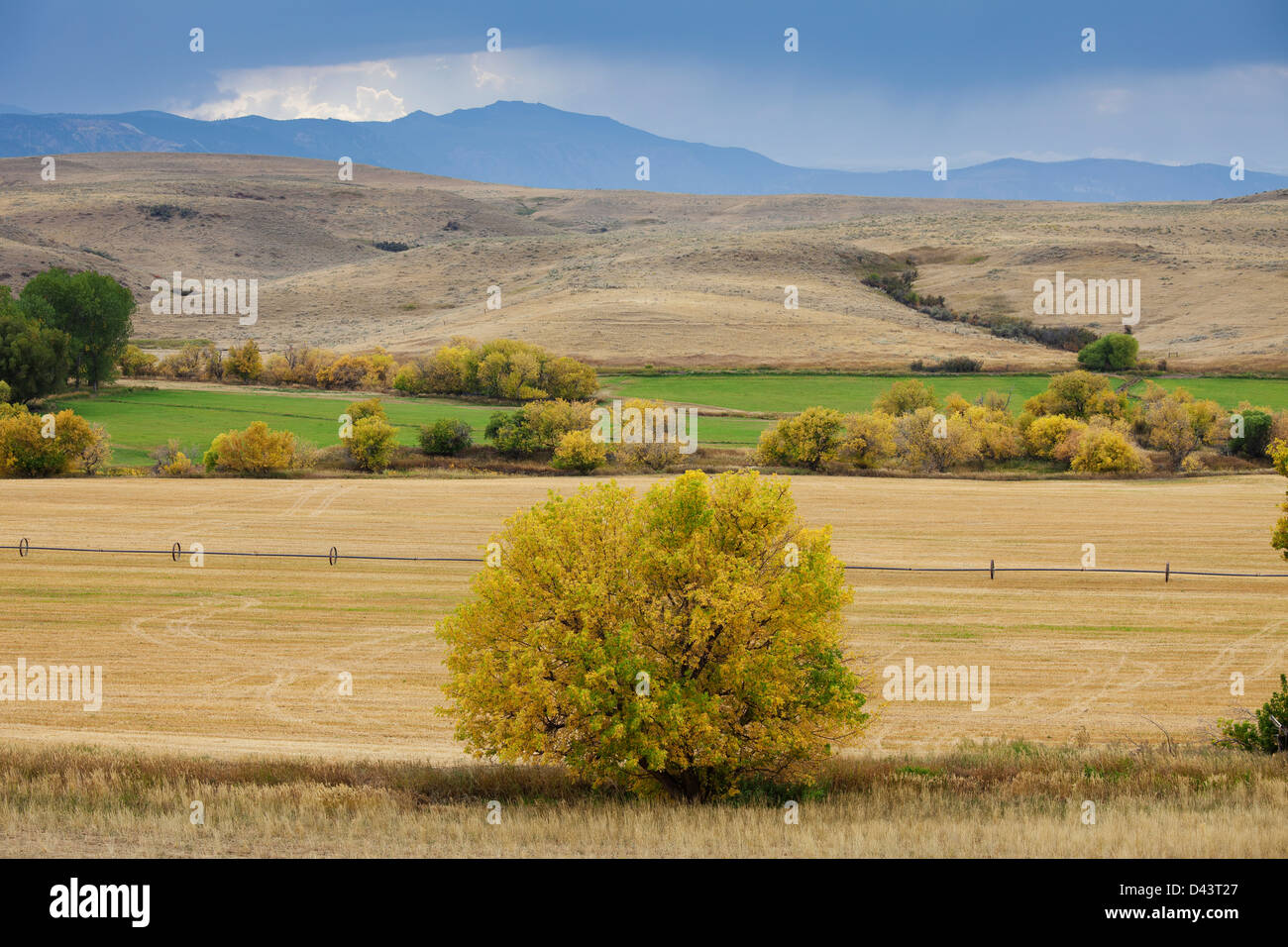 Rangeland, Wyoming, USA Stock Photo - Alamy