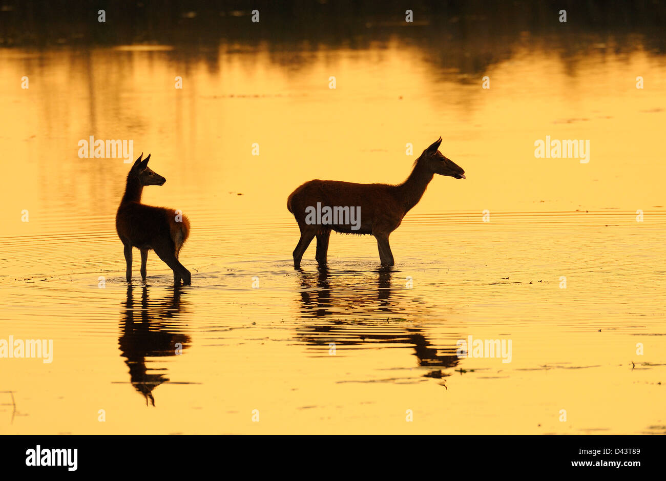 Biosphere 2 exterior hi-res stock photography and images - Alamy