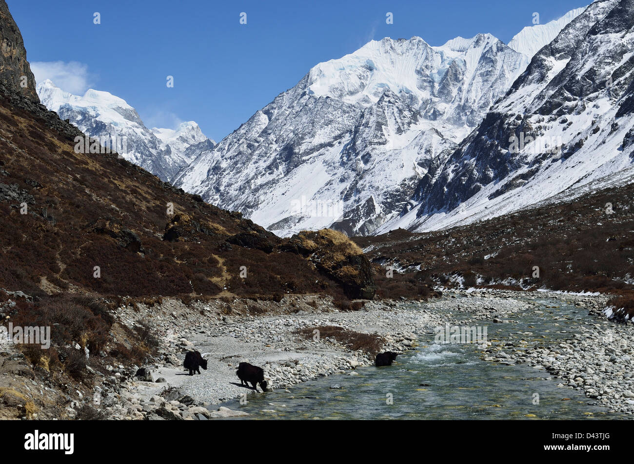 Langtang Valley and Langtang Khola, Langtang National Park, Bagmati ...