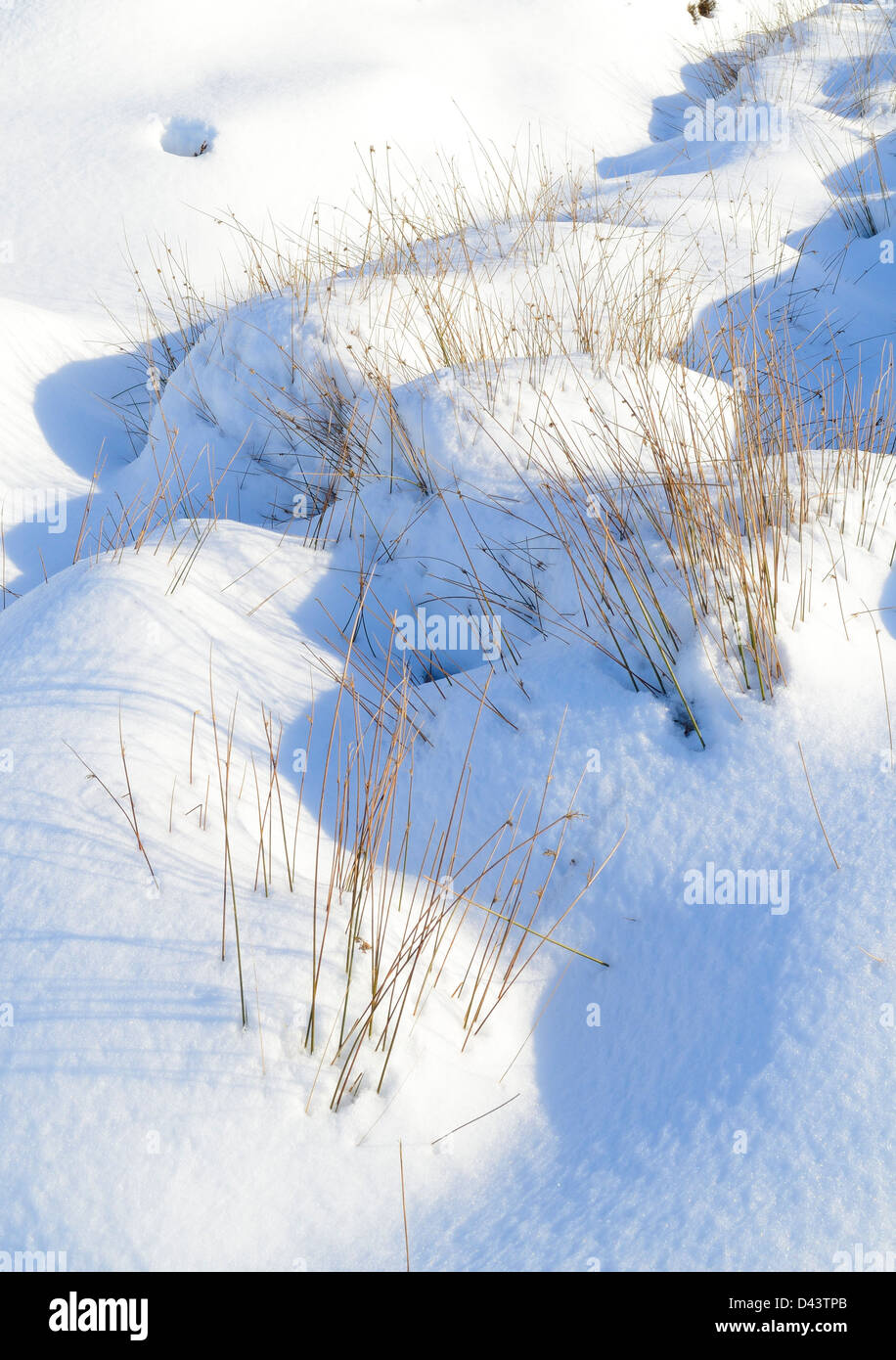Snowy landscape at Surprise View in the Peak District, England, UK ...