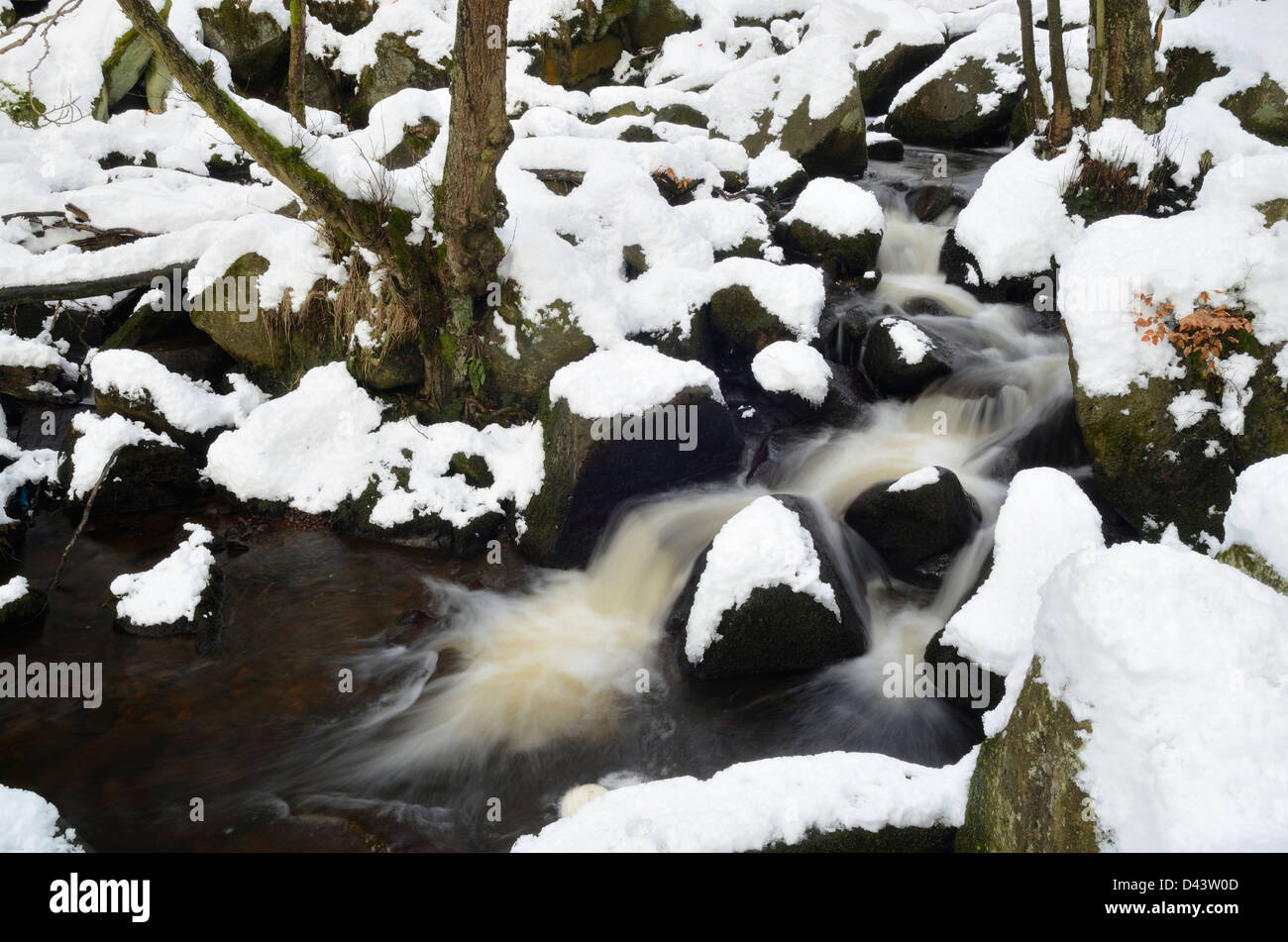 Snow at Padley Gorge - Longshaw Estate - Peak District, Derbyshire ...